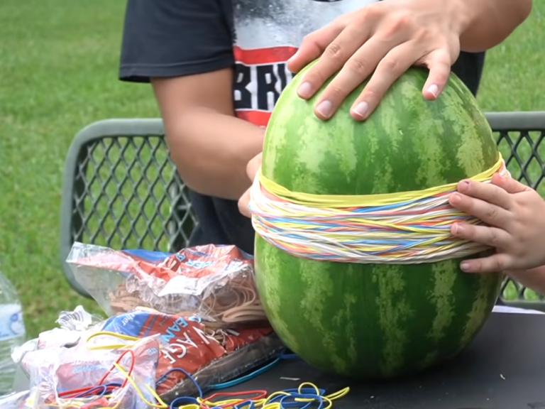 Watermelon Explosion Rubber Bands - Alliance Rubber Company