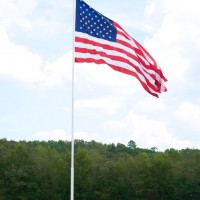 Alliance American Flag